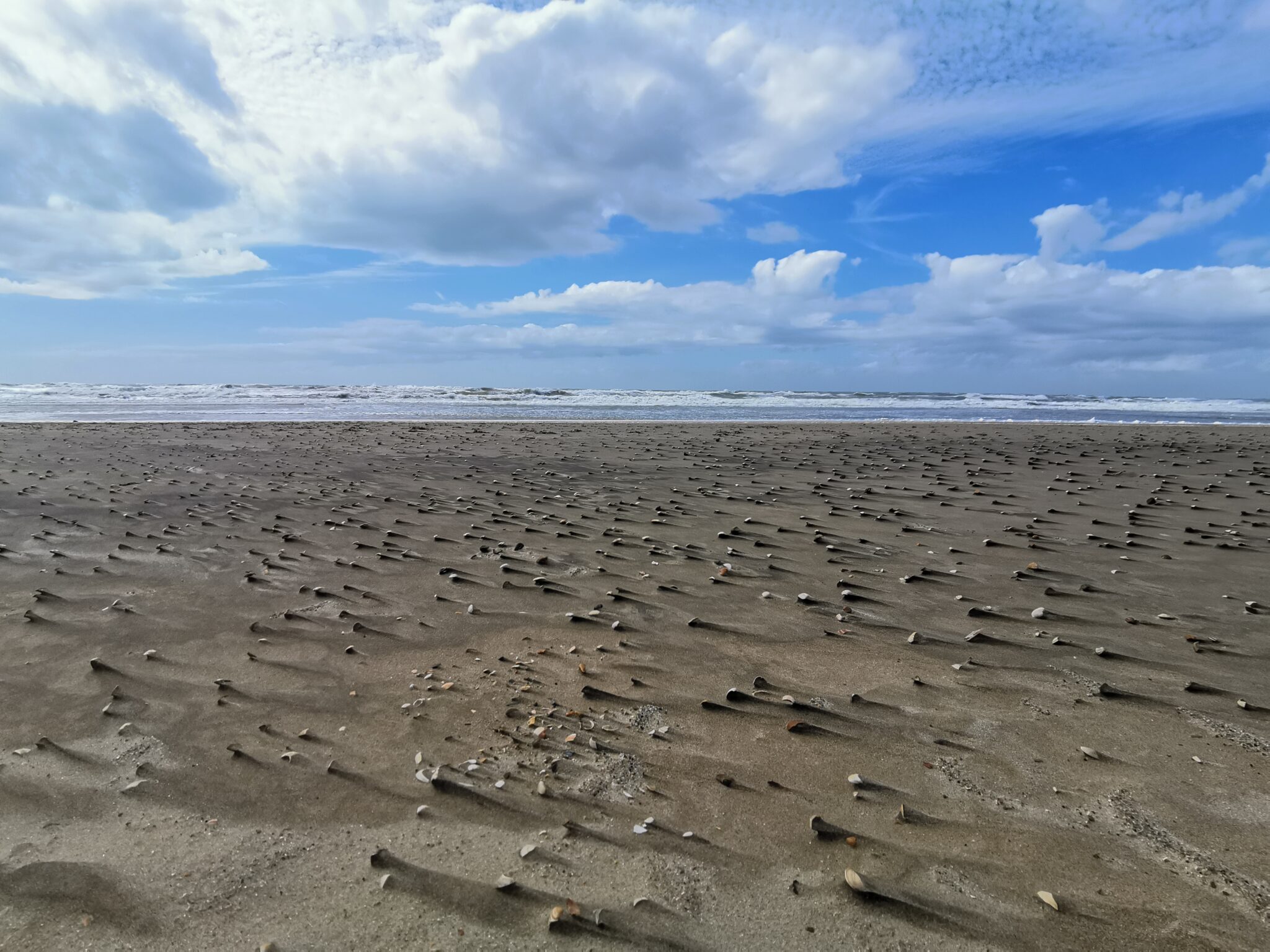 Die Strände - Ferienhaus Nordholland